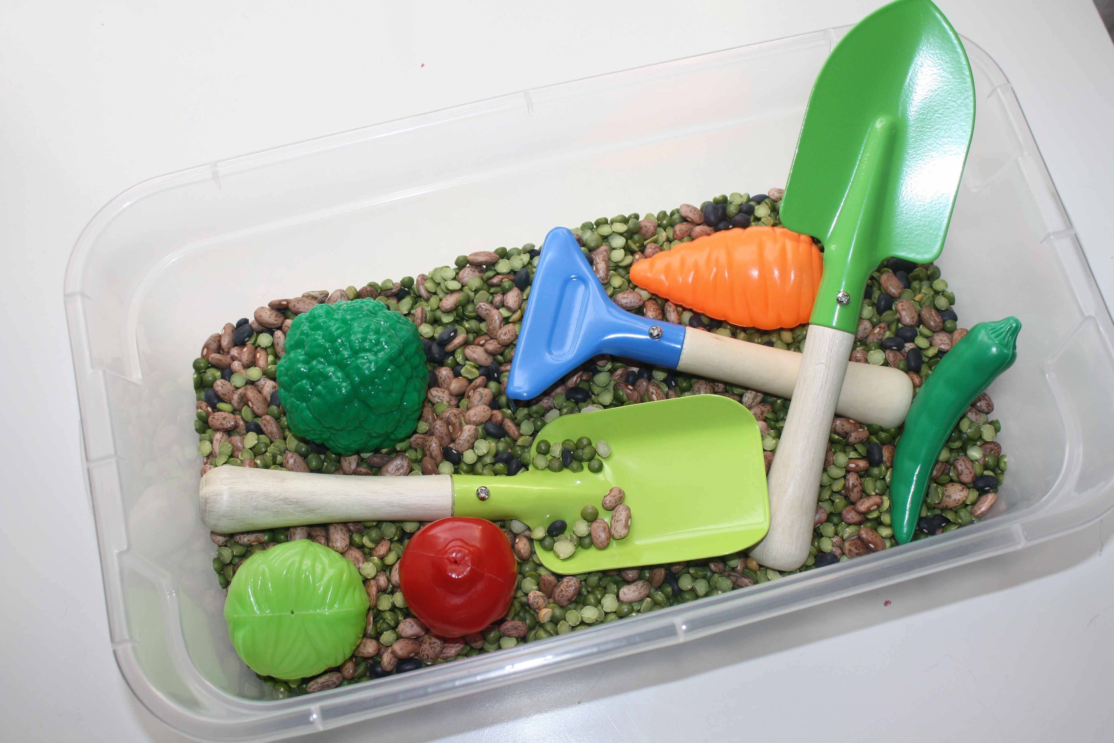23 Garden Sensory Bin Ideas Worth a Look | SharonSable