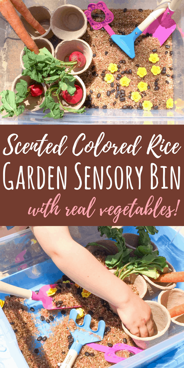 23 Garden Sensory Bin Ideas Worth a Look | SharonSable