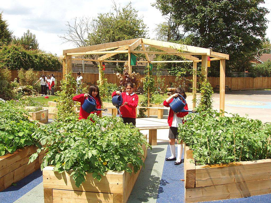 26 Outdoor Learning Garden Ideas To Try This Year | SharonSable
