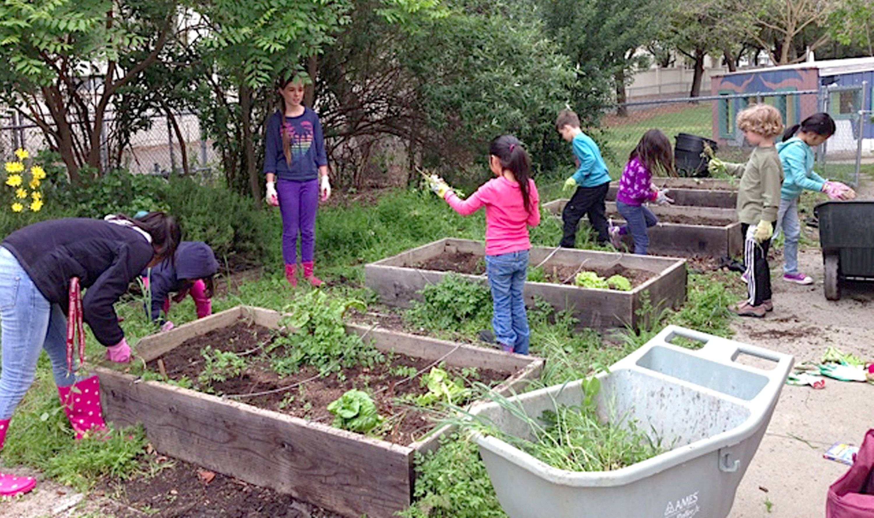23 Primary School Garden Ideas Worth a Look | SharonSable