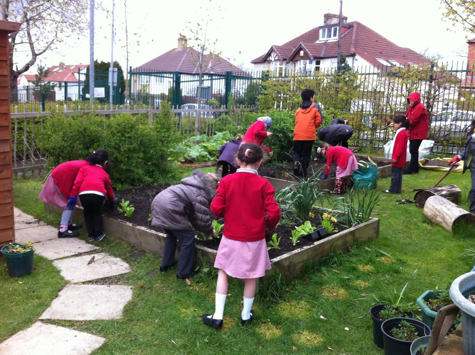 23 Primary School Garden Ideas Worth a Look | SharonSable