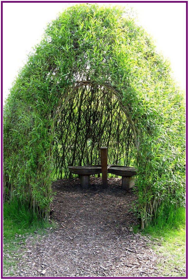 20 Willow Arches for Garden Ideas You Gonna Love | SharonSable