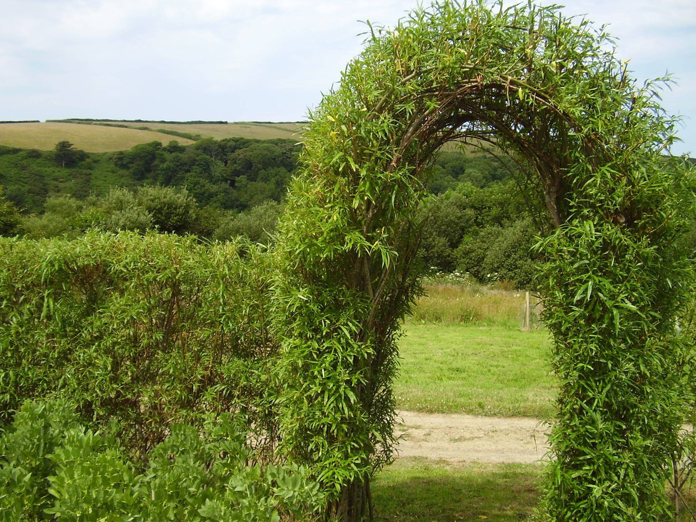 20 Willow Arches for Garden Ideas You Gonna Love | SharonSable