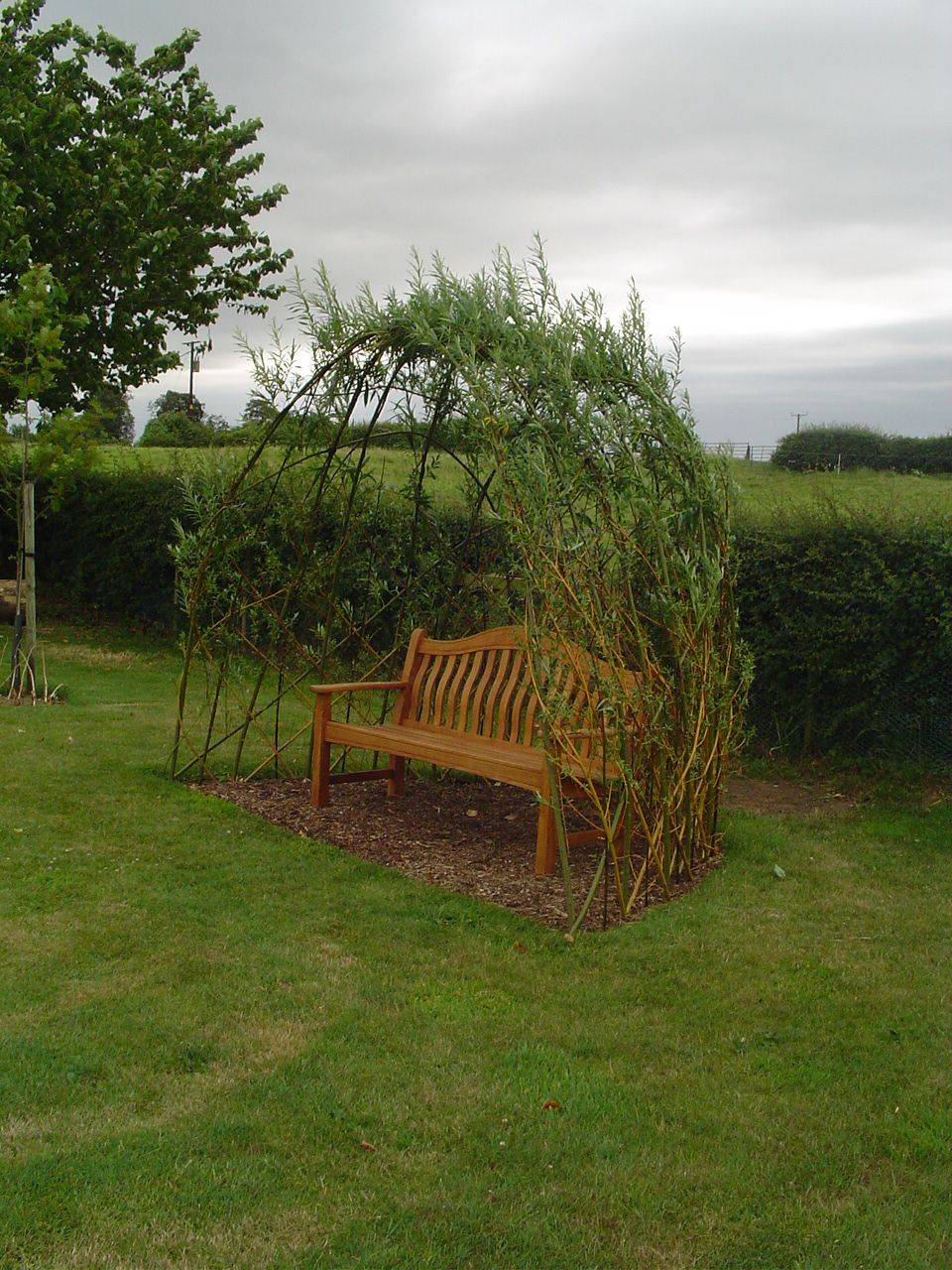 20 Willow Garden Shelter Ideas You Must Look | SharonSable