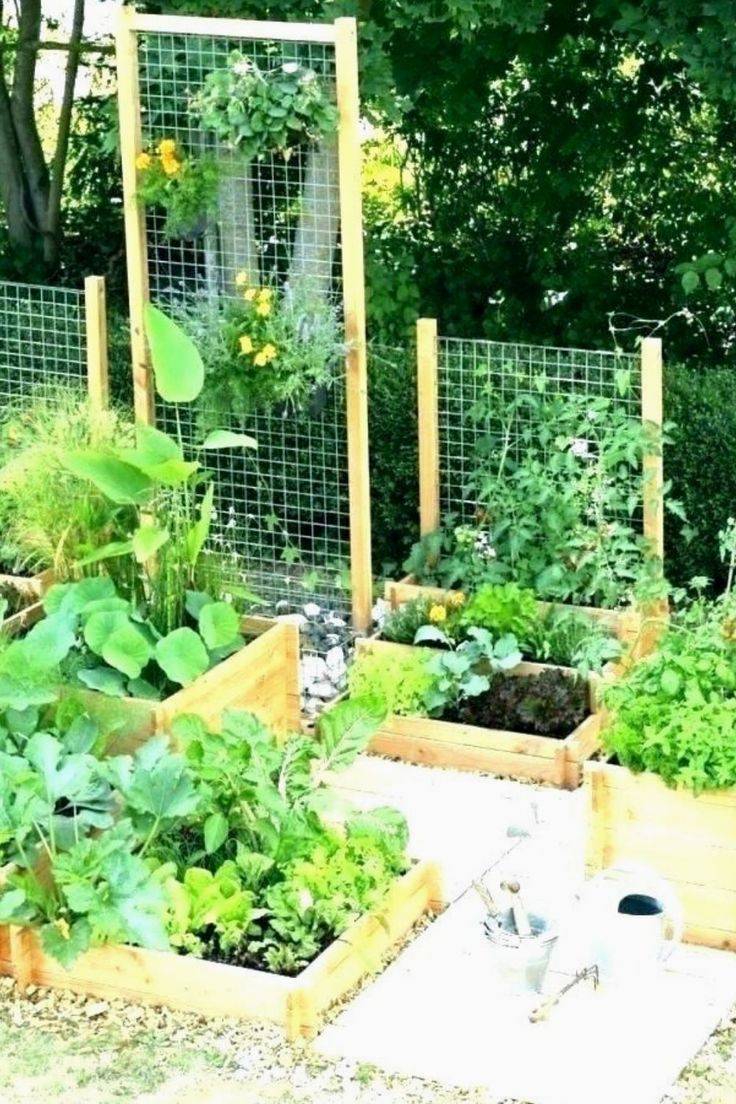 25 Unusual Garden Structures Ideas Worth a Look | SharonSable