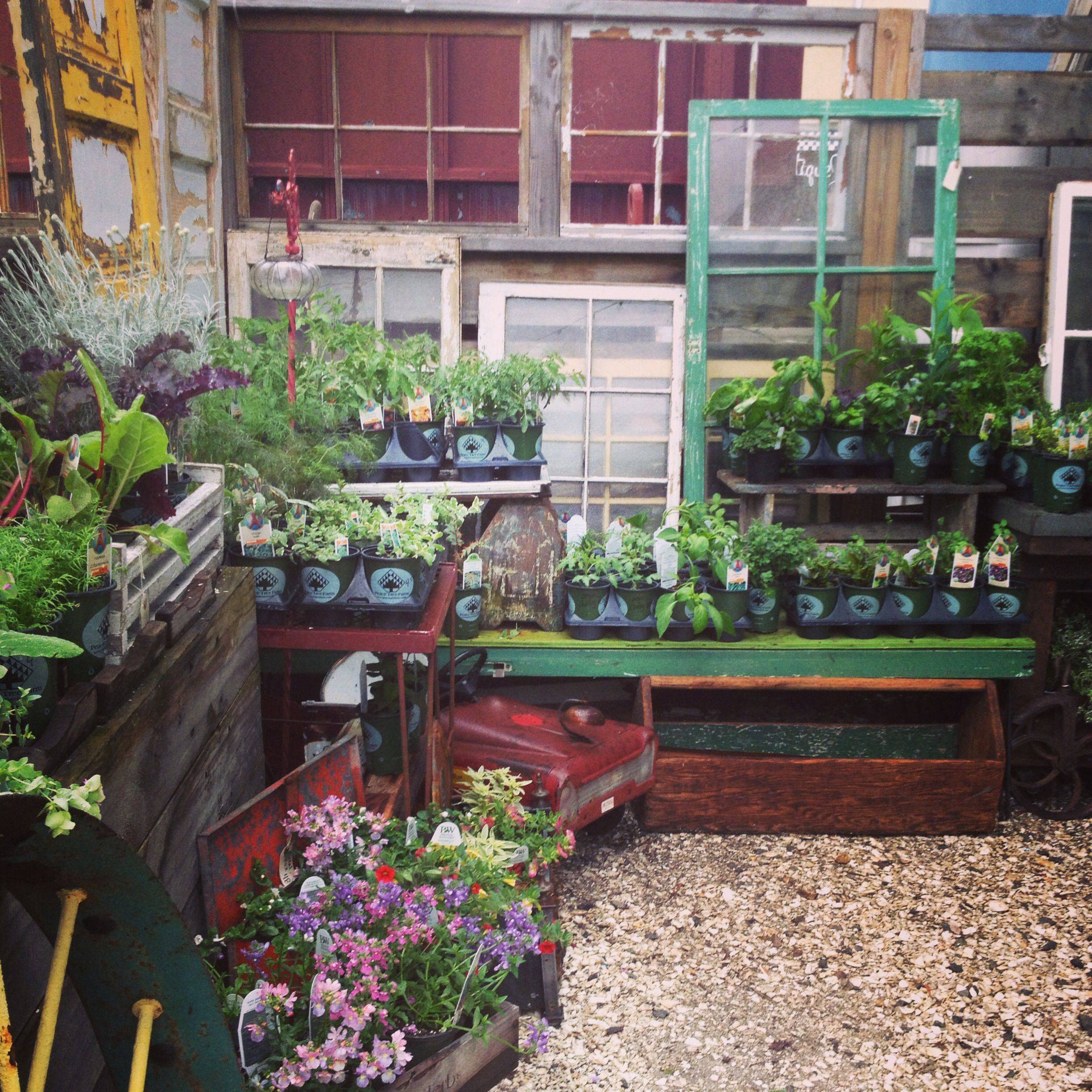 21 Green Space Garden Ideas You Gonna Love | SharonSable