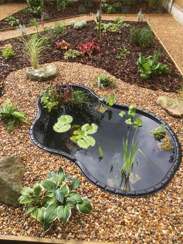 20 Gardening Dementia Ideas You Should Check | SharonSable