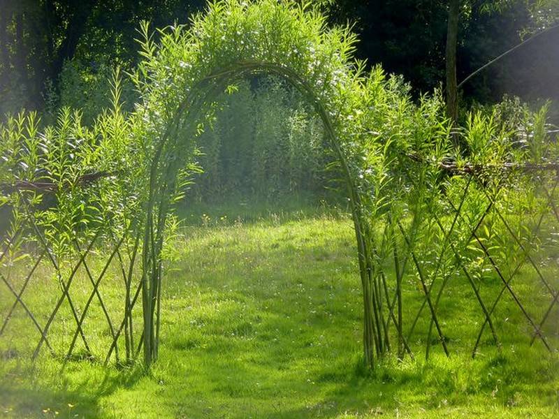 24 Willow Structures for Garden Ideas You Must Look | SharonSable