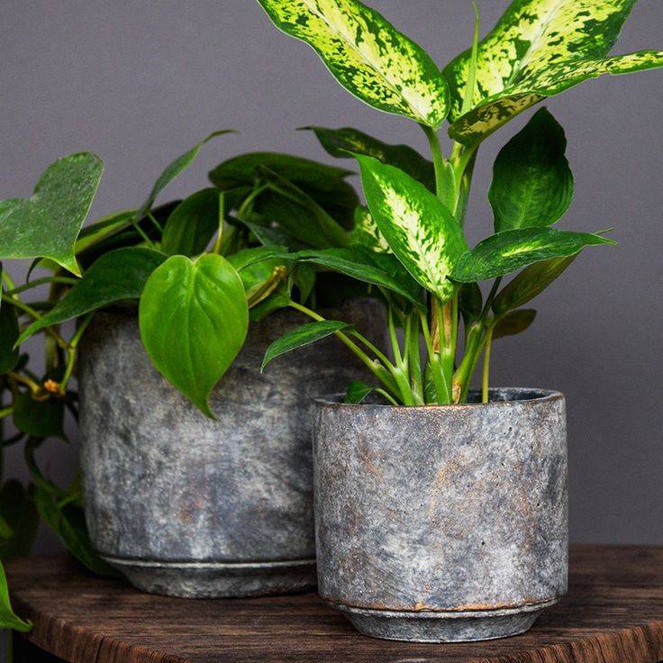 19 Waitrose Garden Ideas To Consider | SharonSable