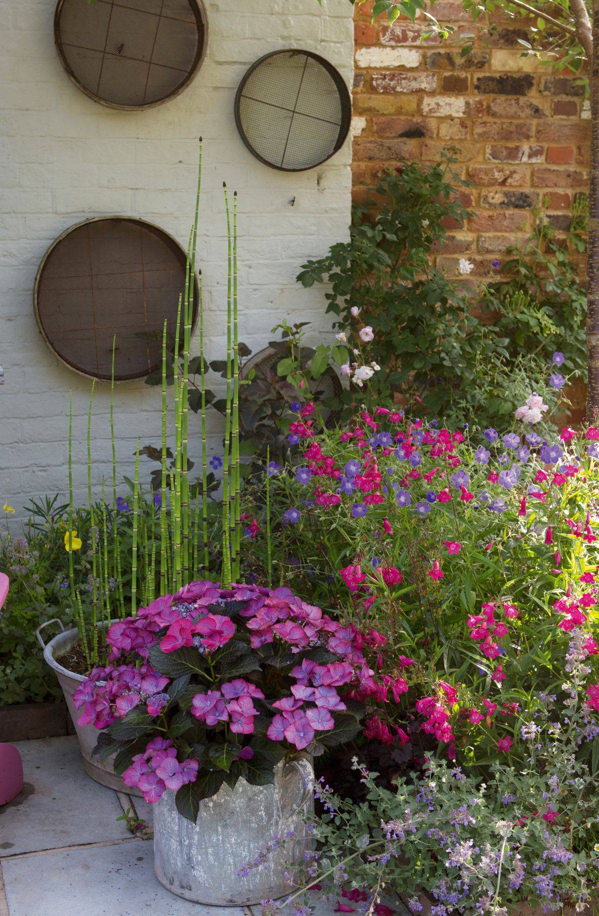 19 Waitrose Garden Ideas To Consider | SharonSable