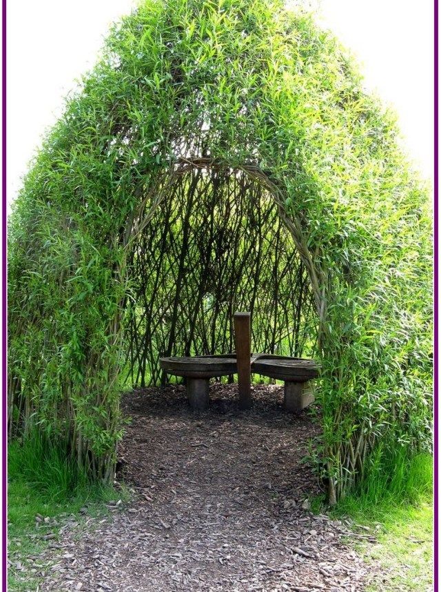 20 Willow Garden Ideas To Try This Year | SharonSable