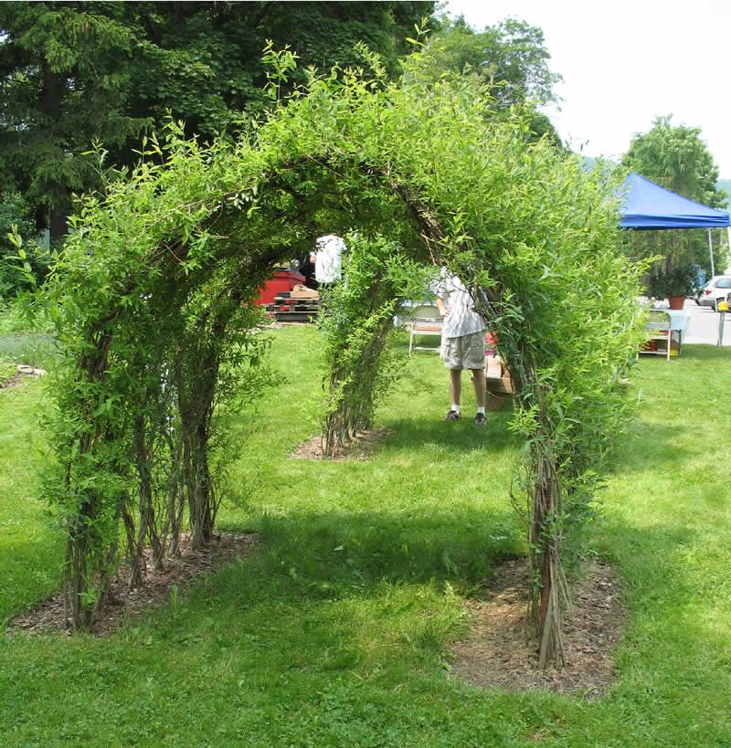 20 Willow Garden Ideas To Try This Year | SharonSable
