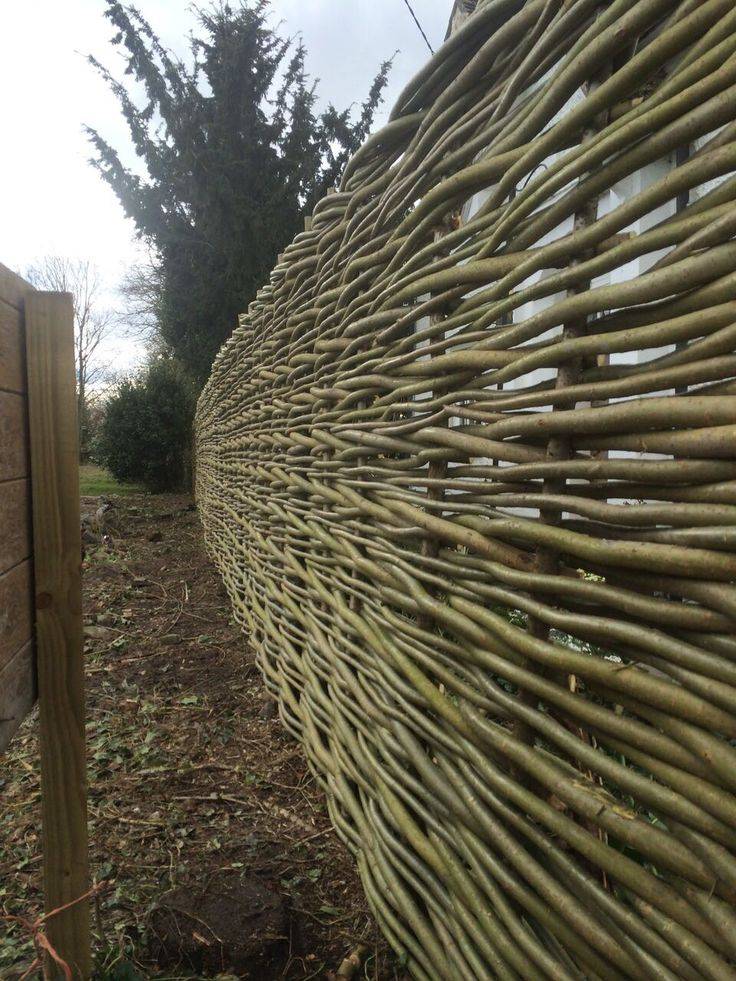 24 Woven Willow Garden Fencing Ideas To Consider | SharonSable