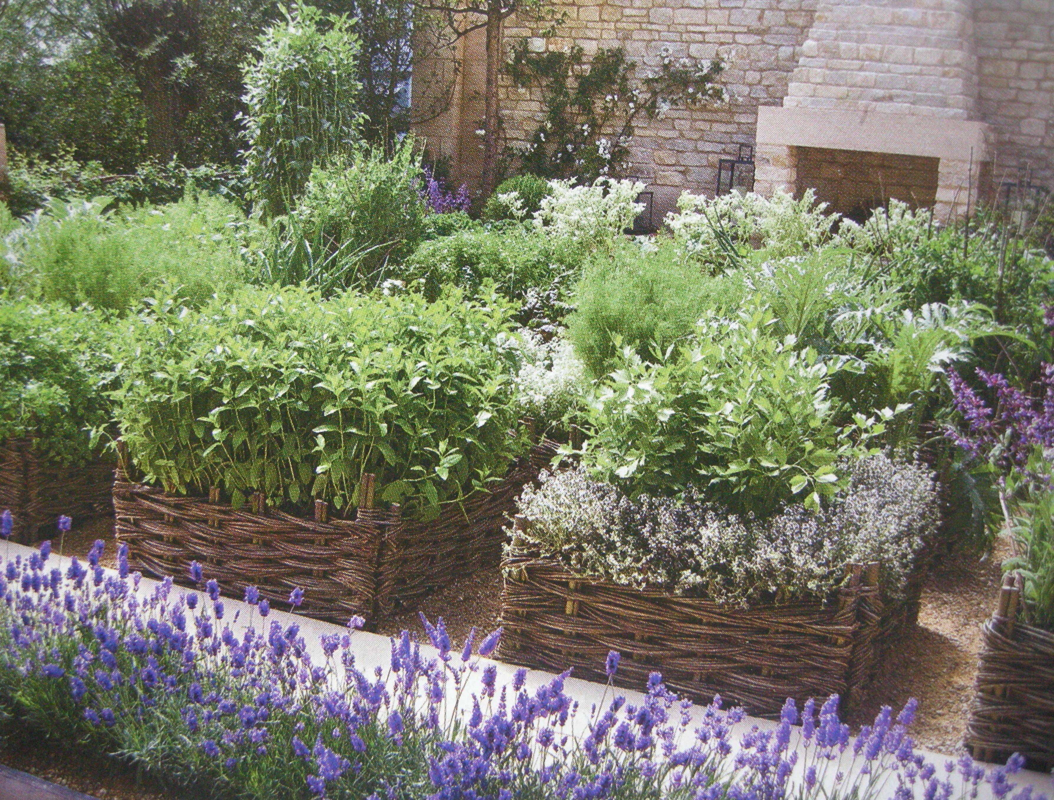 16 Woven Willow Garden Edging Ideas You Should Look | SharonSable