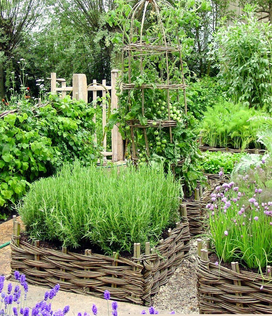 16 Woven Willow Garden Edging Ideas You Should Look | SharonSable