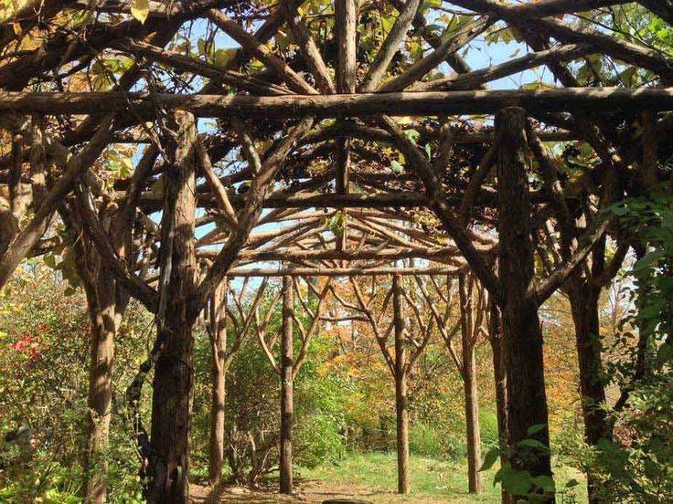21 Branch Rustic Garden Arbor Ideas You Should Check | SharonSable