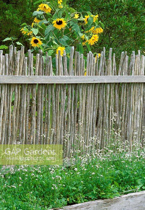 23 Rustic Tree Branch Garden Fence Ideas You Cannot Miss | SharonSable