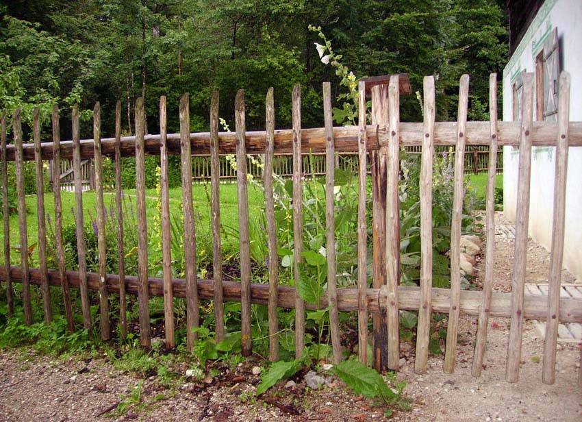 23 Rustic Tree Branch Garden Fence Ideas You Cannot Miss | SharonSable