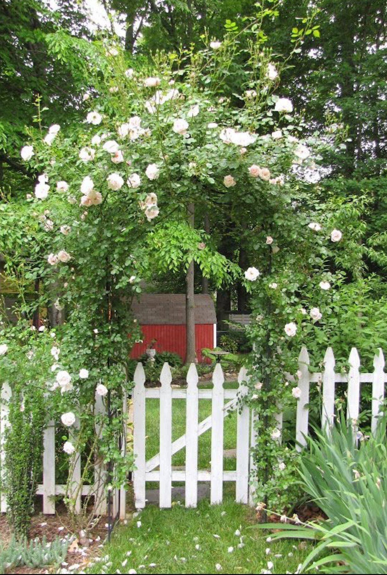 22 Cottage Garden with Arbors Ideas To Consider | SharonSable