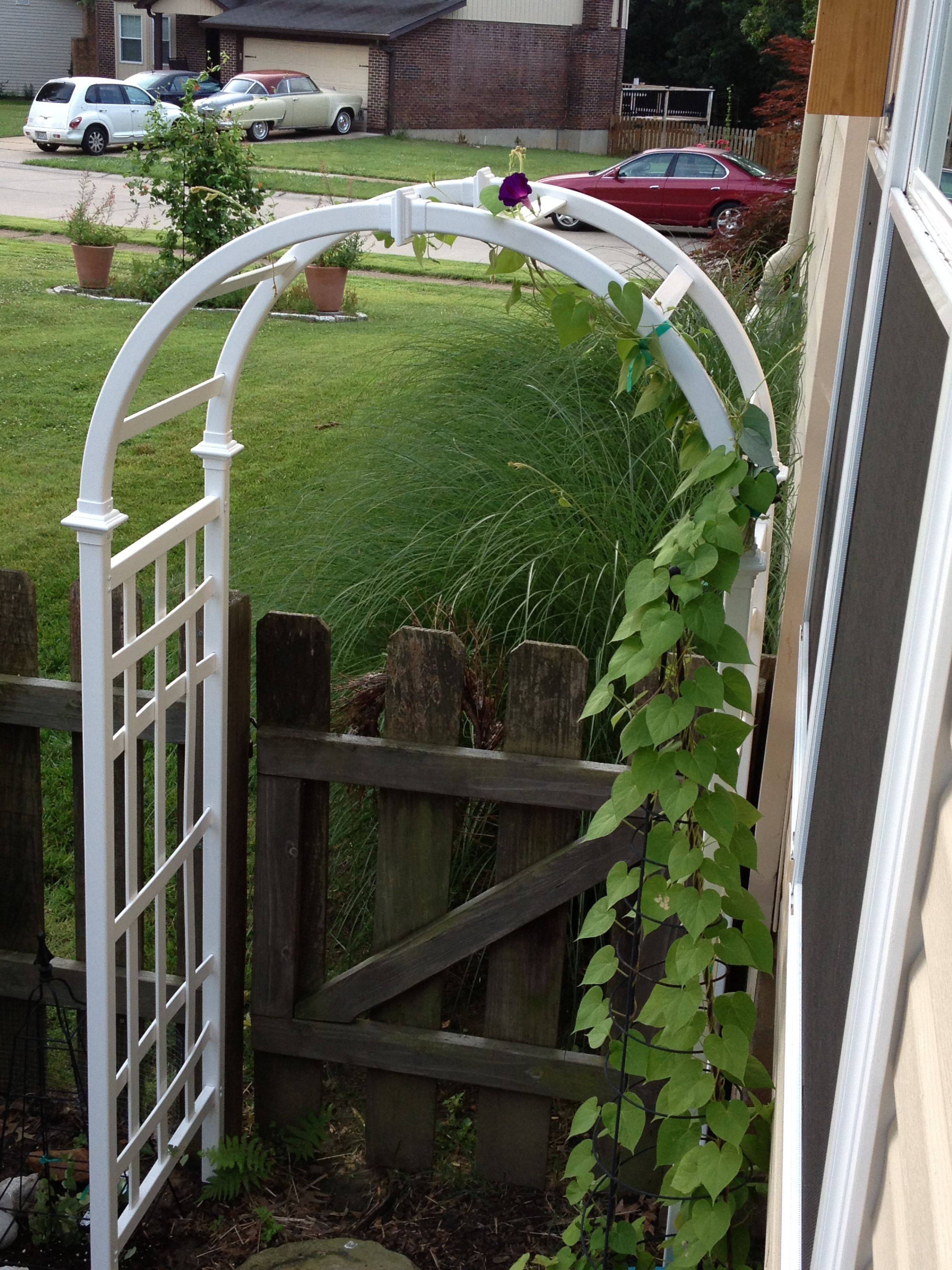 22 Cottage Garden with Arbors Ideas To Consider | SharonSable