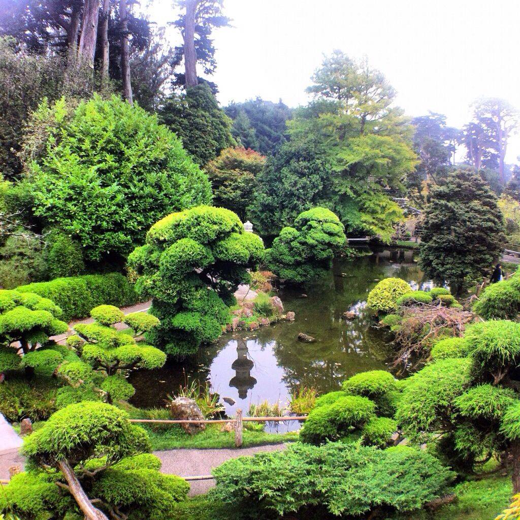 24 Tea Garden Design Ideas You Cannot Miss | SharonSable