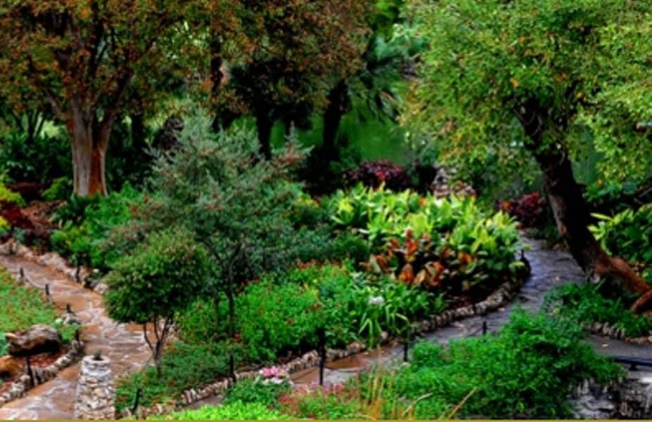 24 Tea Garden Design Ideas You Cannot Miss | SharonSable