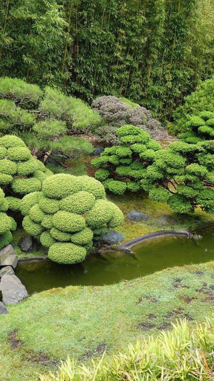 24 Tea Garden Design Ideas You Cannot Miss | SharonSable