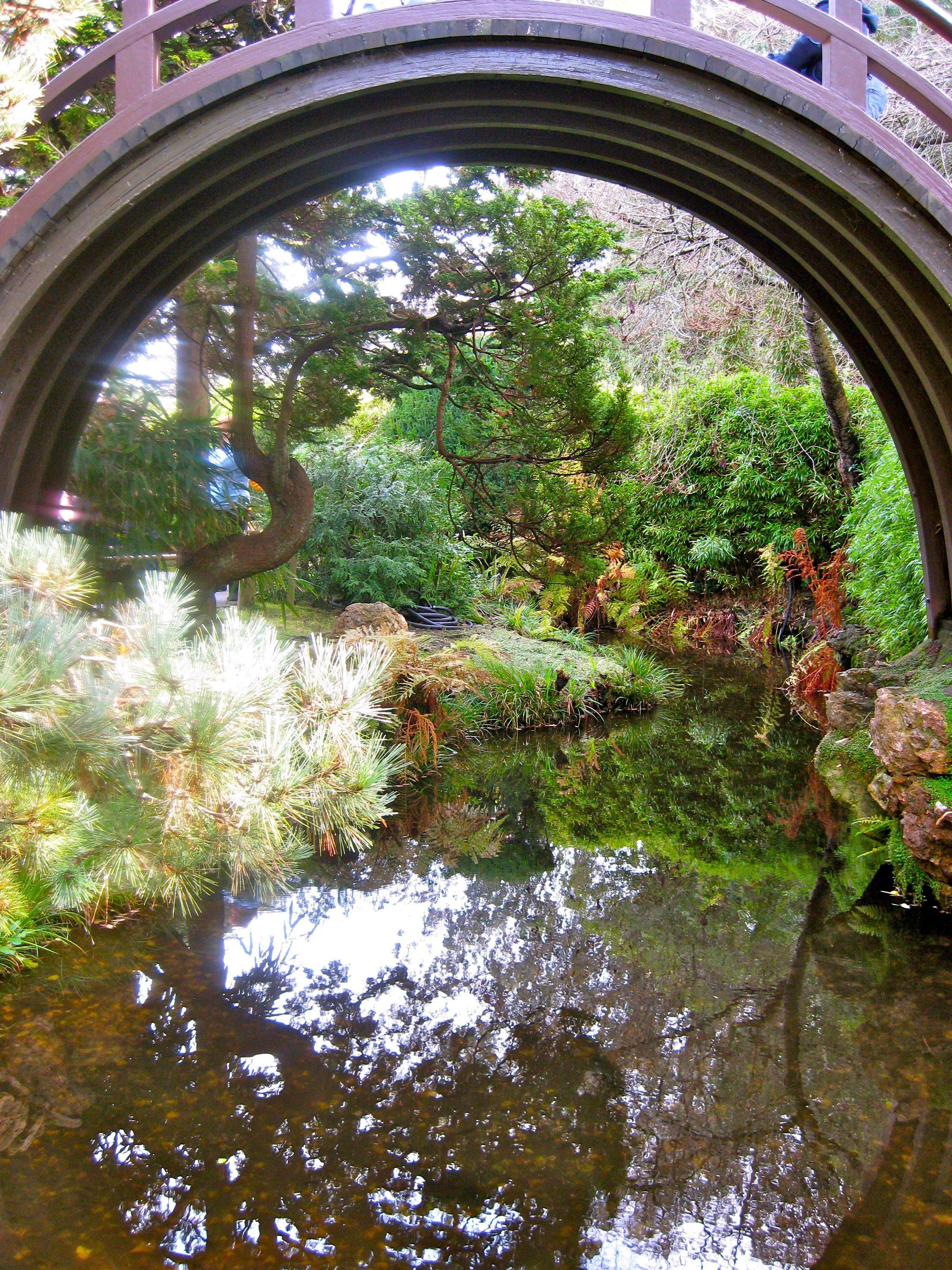 24 Tea Garden Design Ideas You Cannot Miss | SharonSable