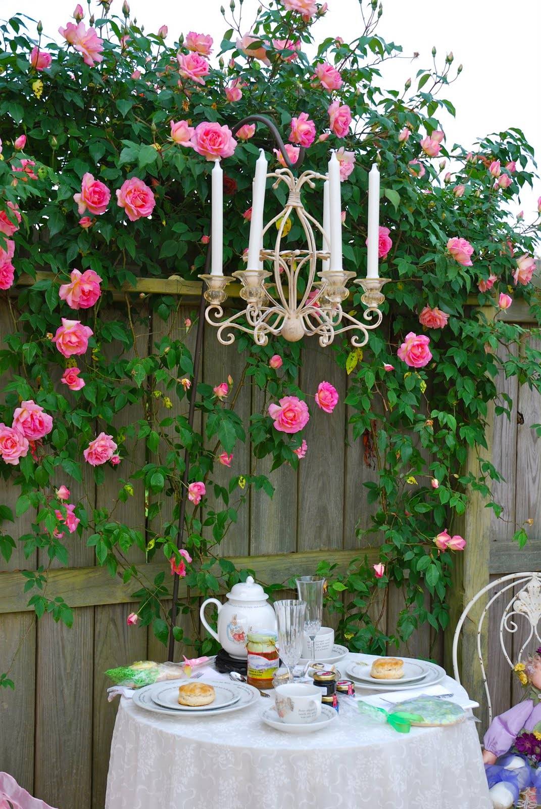 23 Tea Rose Garden Ideas You Must Look | SharonSable