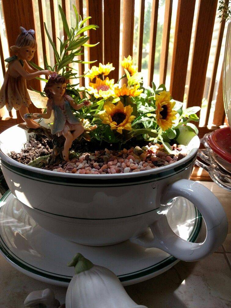 24 Tea Flower Garden Ideas For This Year | SharonSable