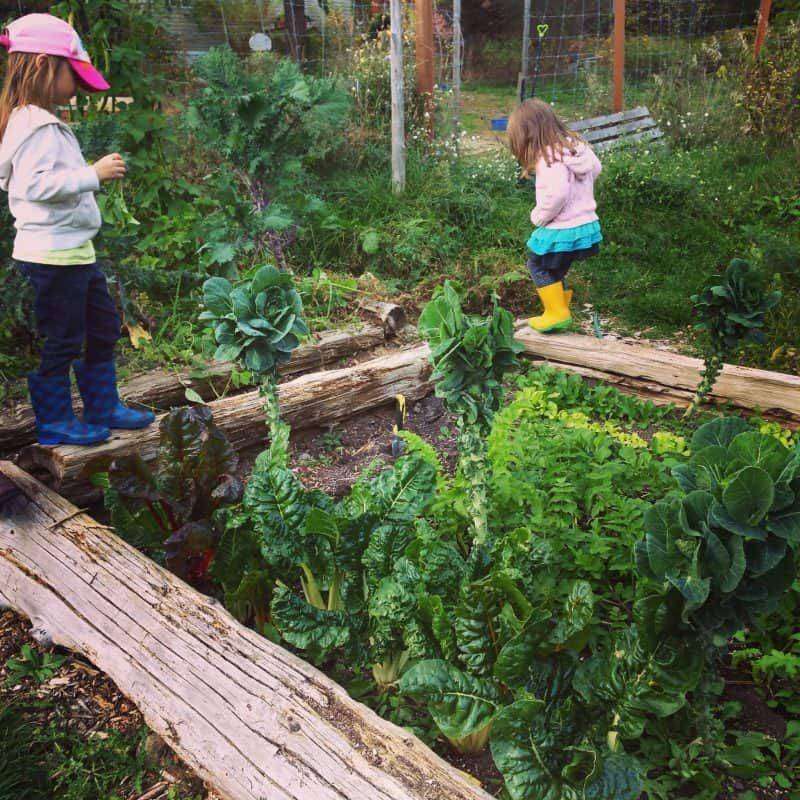 24 Family Food Garden Ideas You Gonna Love | SharonSable