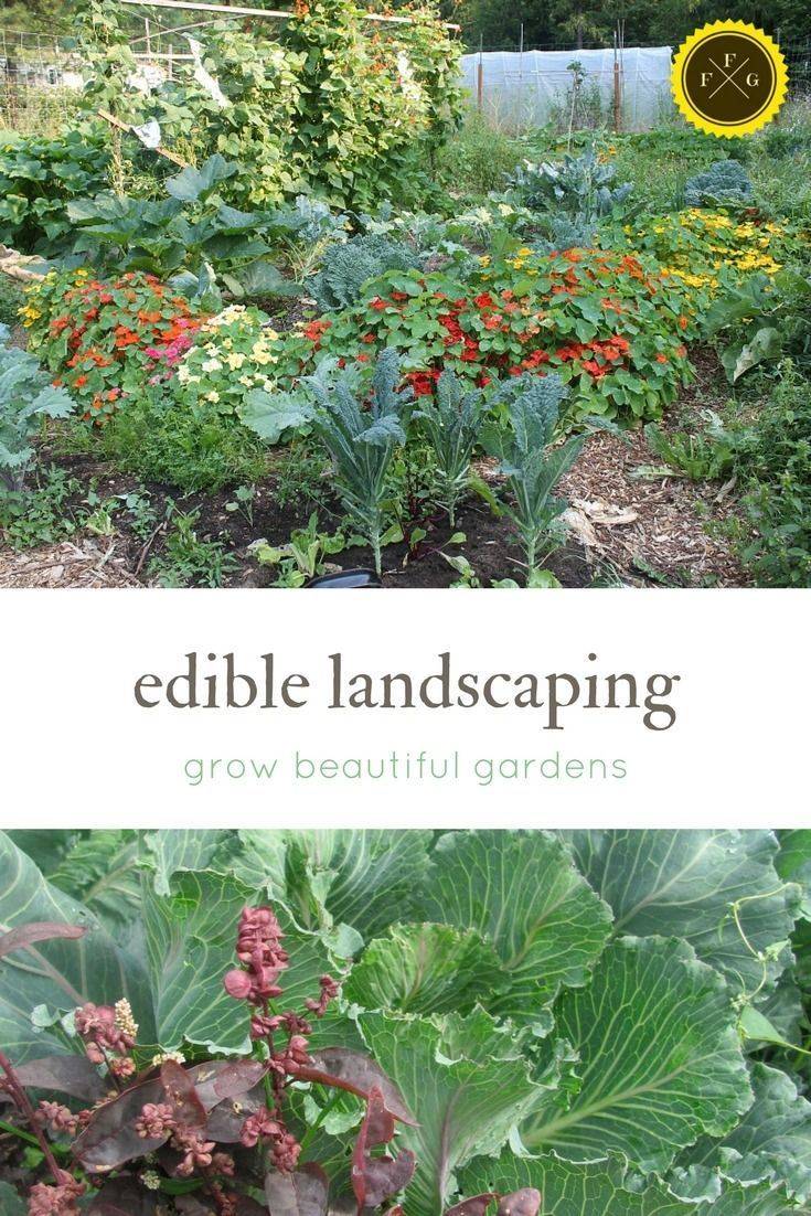 24 Family Food Garden Ideas You Gonna Love | SharonSable