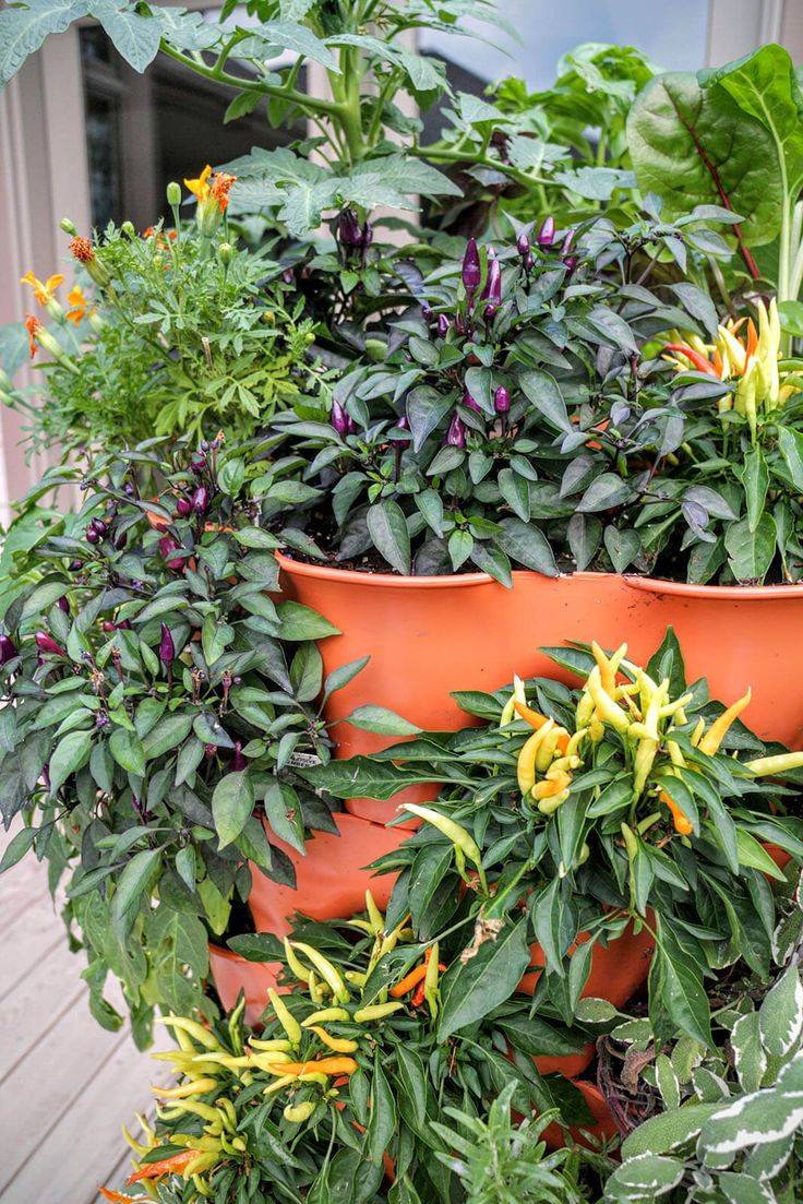 25 Grow Towers Container Vegetable Garden Ideas Worth to Check ...