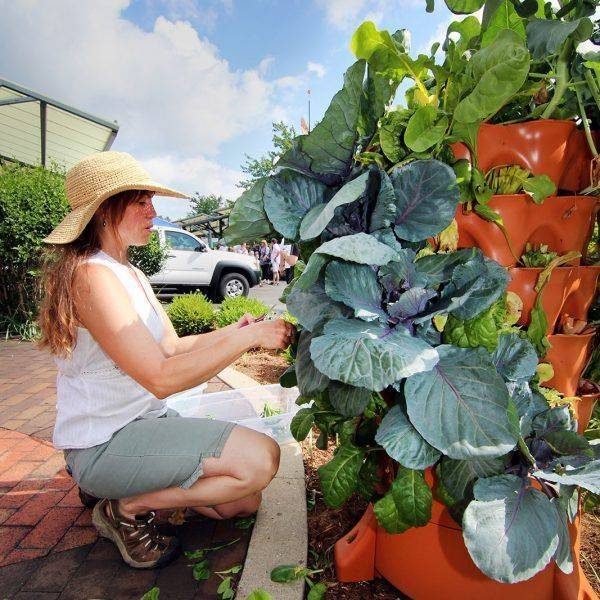 25 Grow Towers Container Vegetable Garden Ideas Worth to Check ...