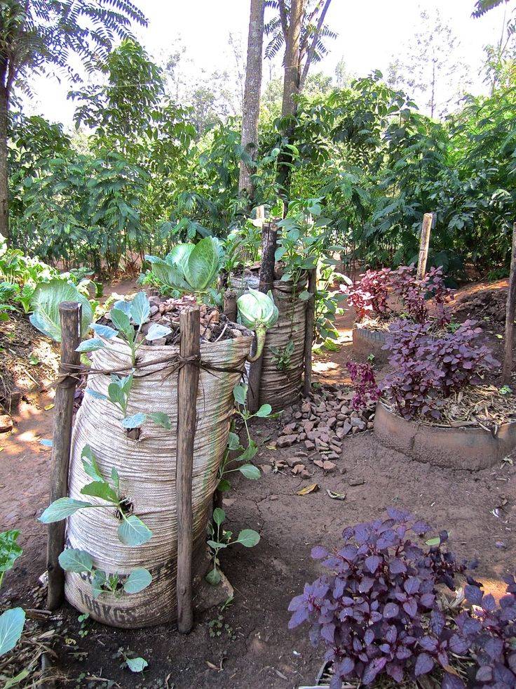 25 Grow Towers Container Vegetable Garden Ideas Worth to Check ...