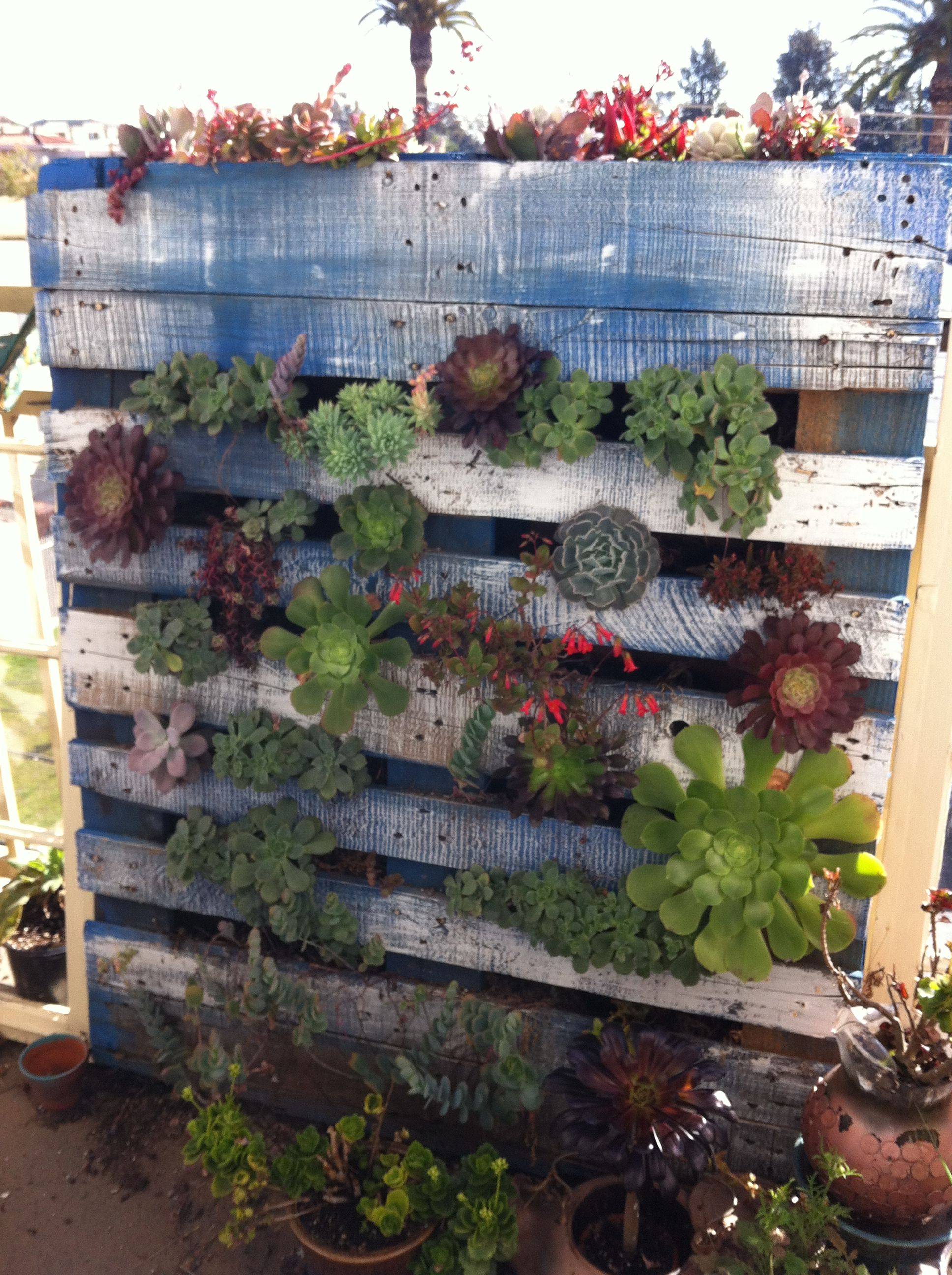 18 Vertical Garden Inspiration Ideas You Should Look | SharonSable