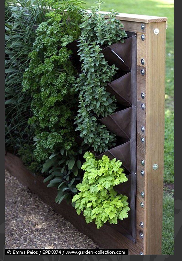 18 Vertical Garden Inspiration Ideas You Should Look | SharonSable