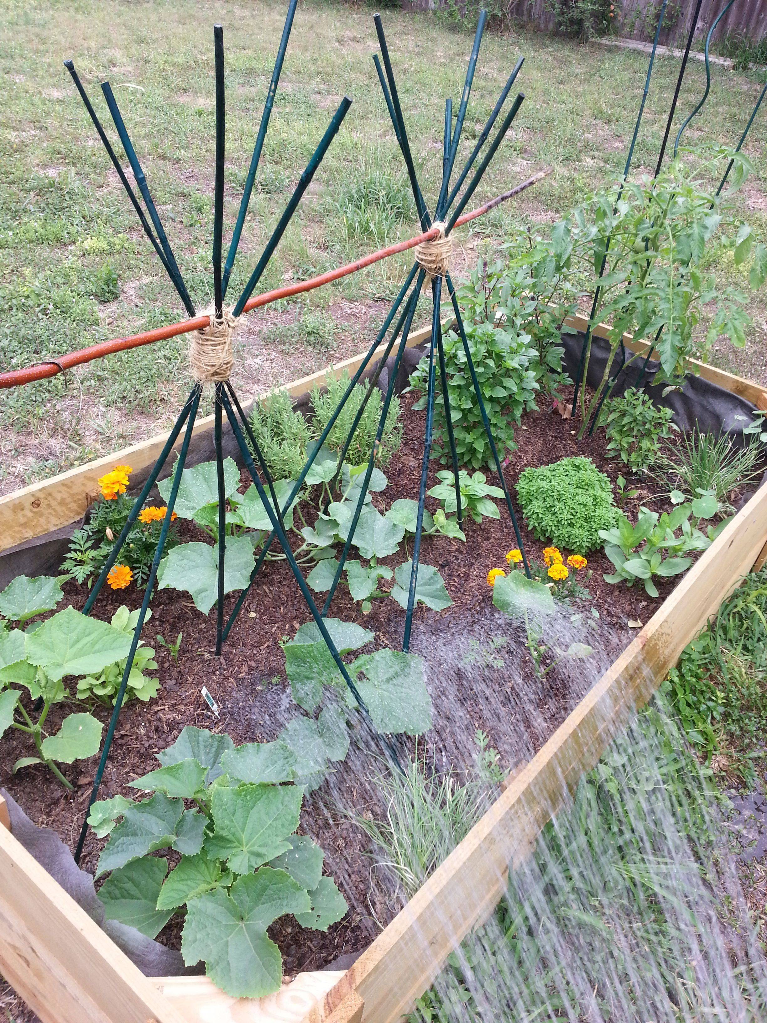 20 Edible Garden Planner Ideas Worth a Look | SharonSable