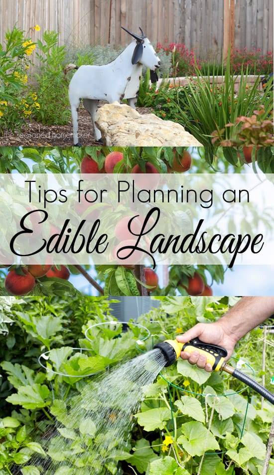 20 Edible Garden Planner Ideas Worth a Look | SharonSable