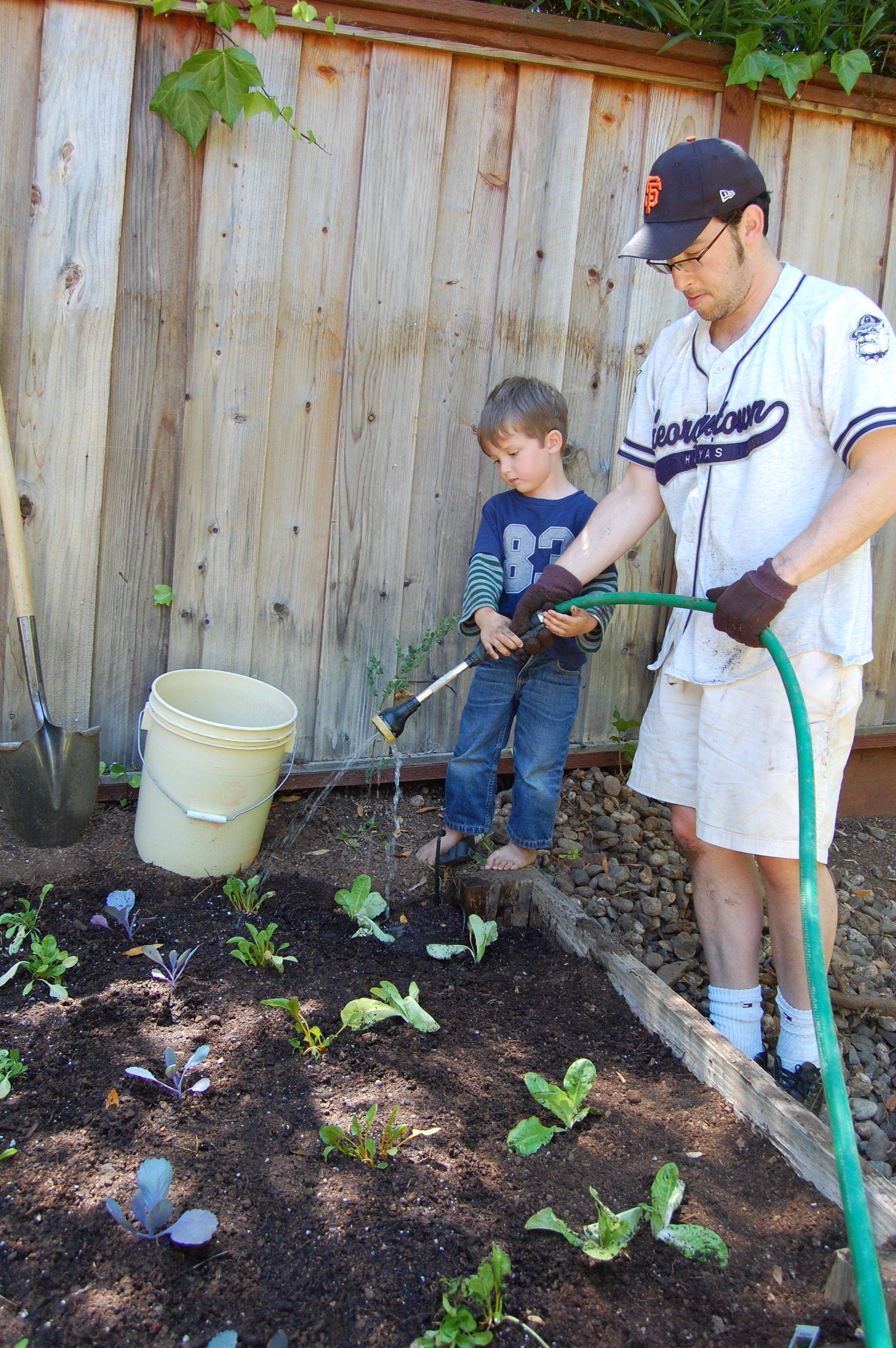22 Edible School Garden Ideas You Should Check | SharonSable