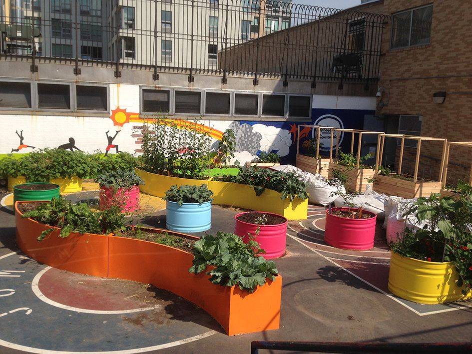 22 Edible School Garden Ideas You Should Check | SharonSable