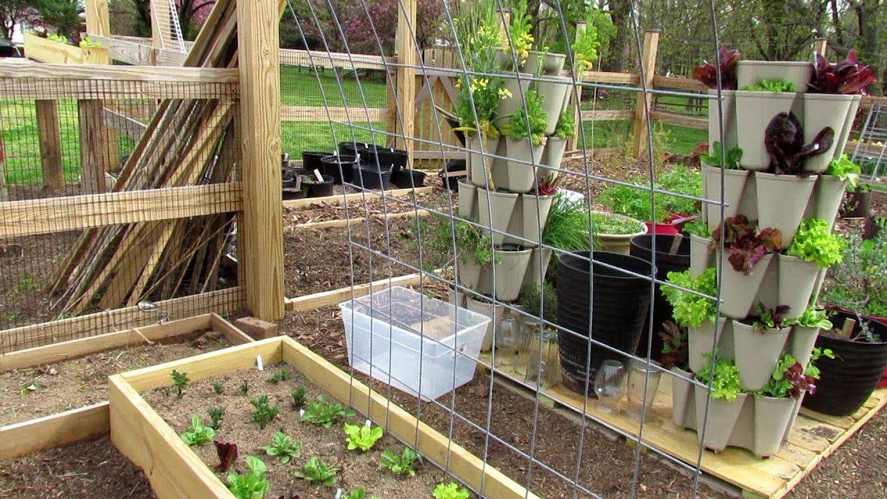 22 Edible School Garden Ideas You Should Check | SharonSable