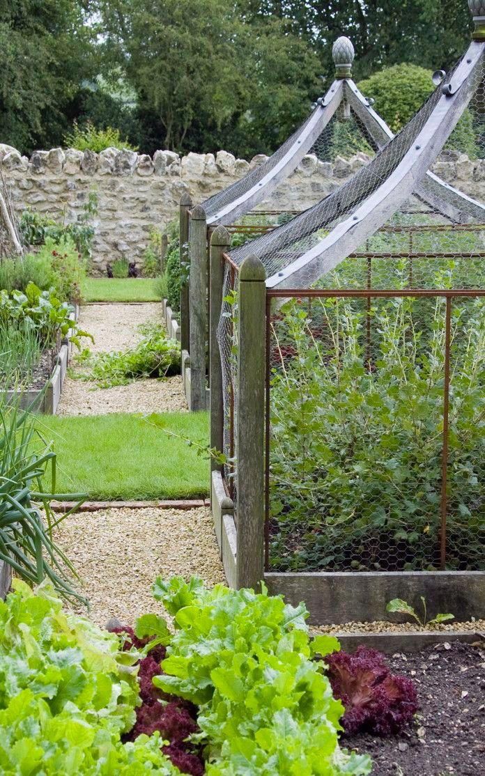 21 Food Garden Layout Ideas You Cannot Miss | SharonSable