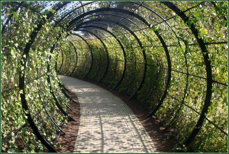 23 Garden Tunnel Ideas You Cannot Miss | SharonSable
