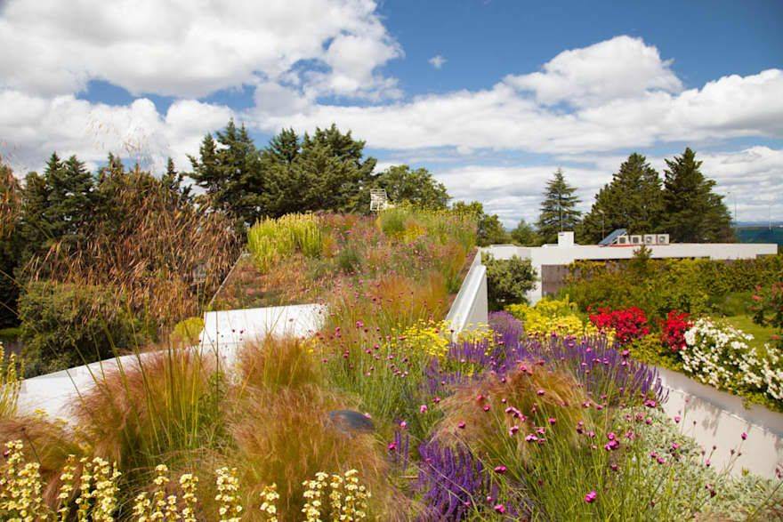 21 Great Comp Garden Ideas You Should Look | SharonSable