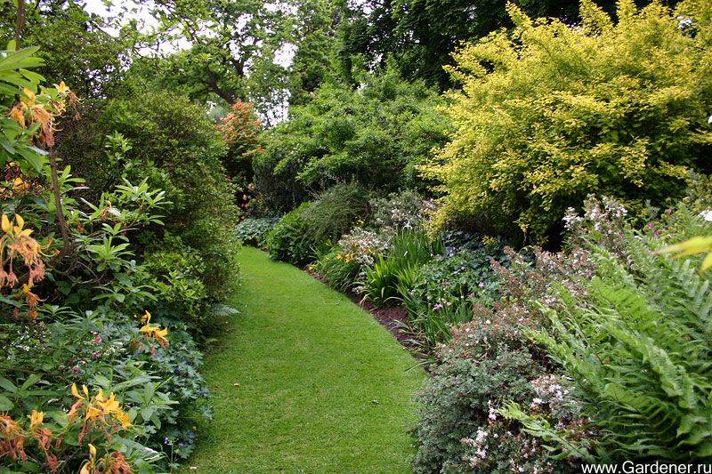 21 Great Comp Garden Ideas You Should Look | SharonSable