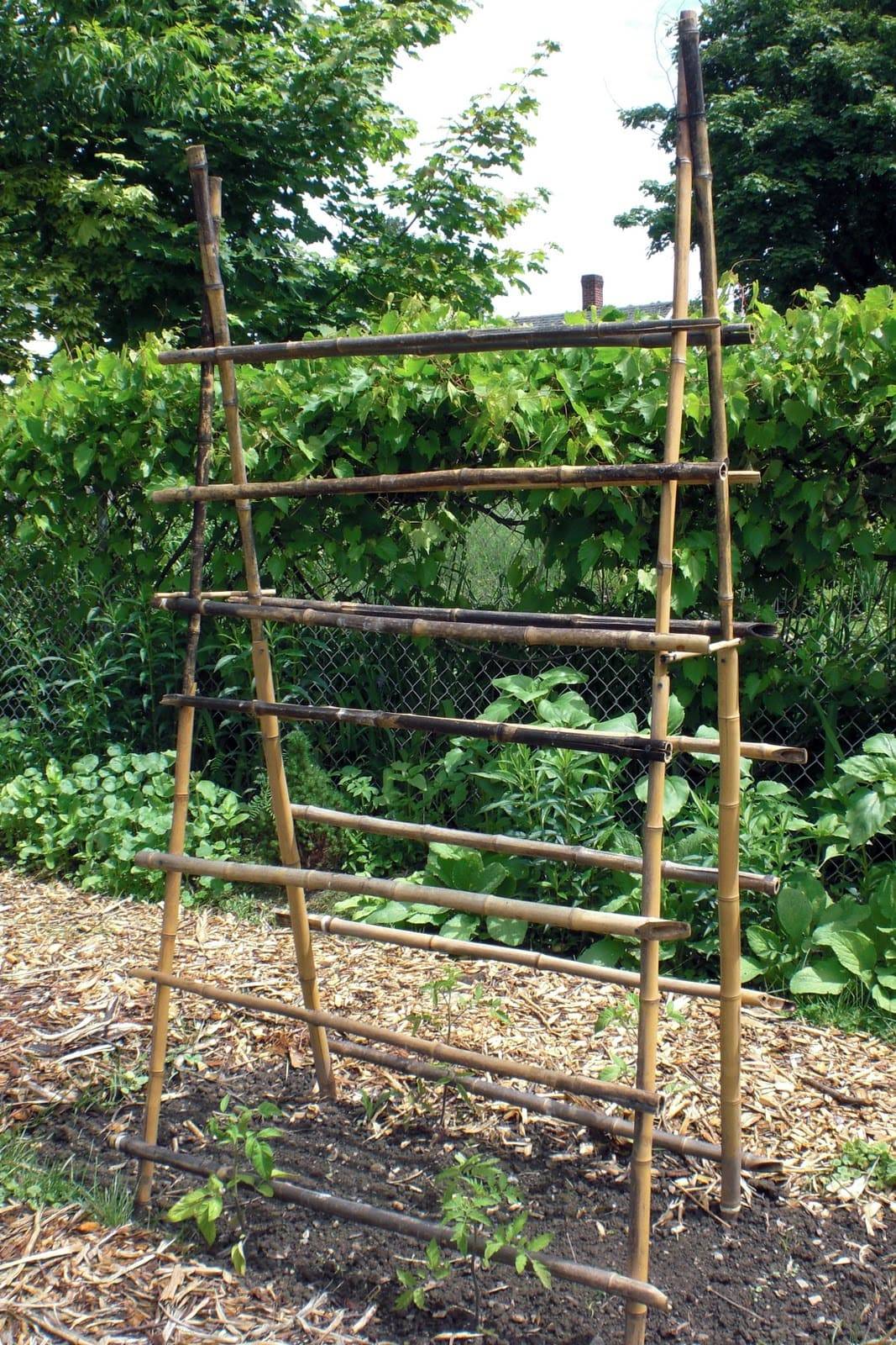 18 Garden String Trellis Round Ideas You Should Check | SharonSable