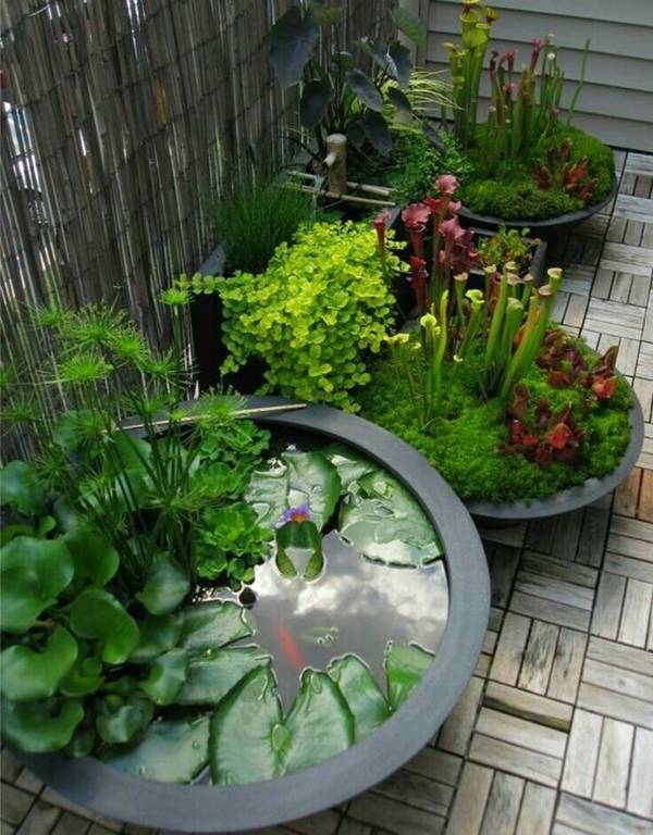19 Container Water Garden with Fish Ideas For This Year | SharonSable