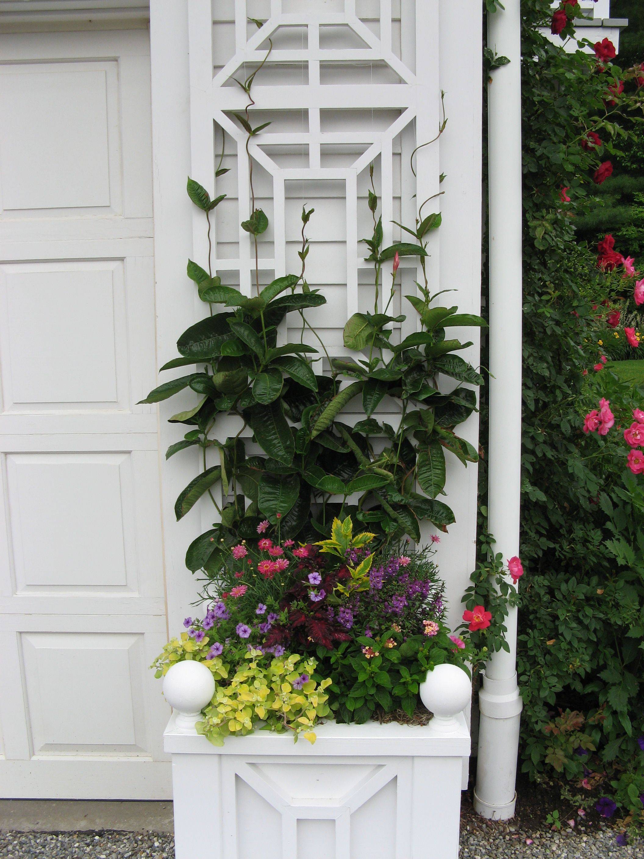 25 Container Garden Trellis Ideas You Cannot Miss | SharonSable
