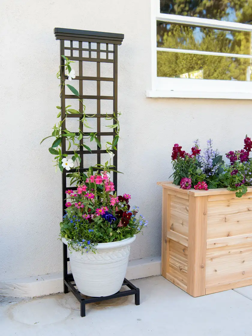 25 Container Garden Trellis Ideas You Cannot Miss | SharonSable
